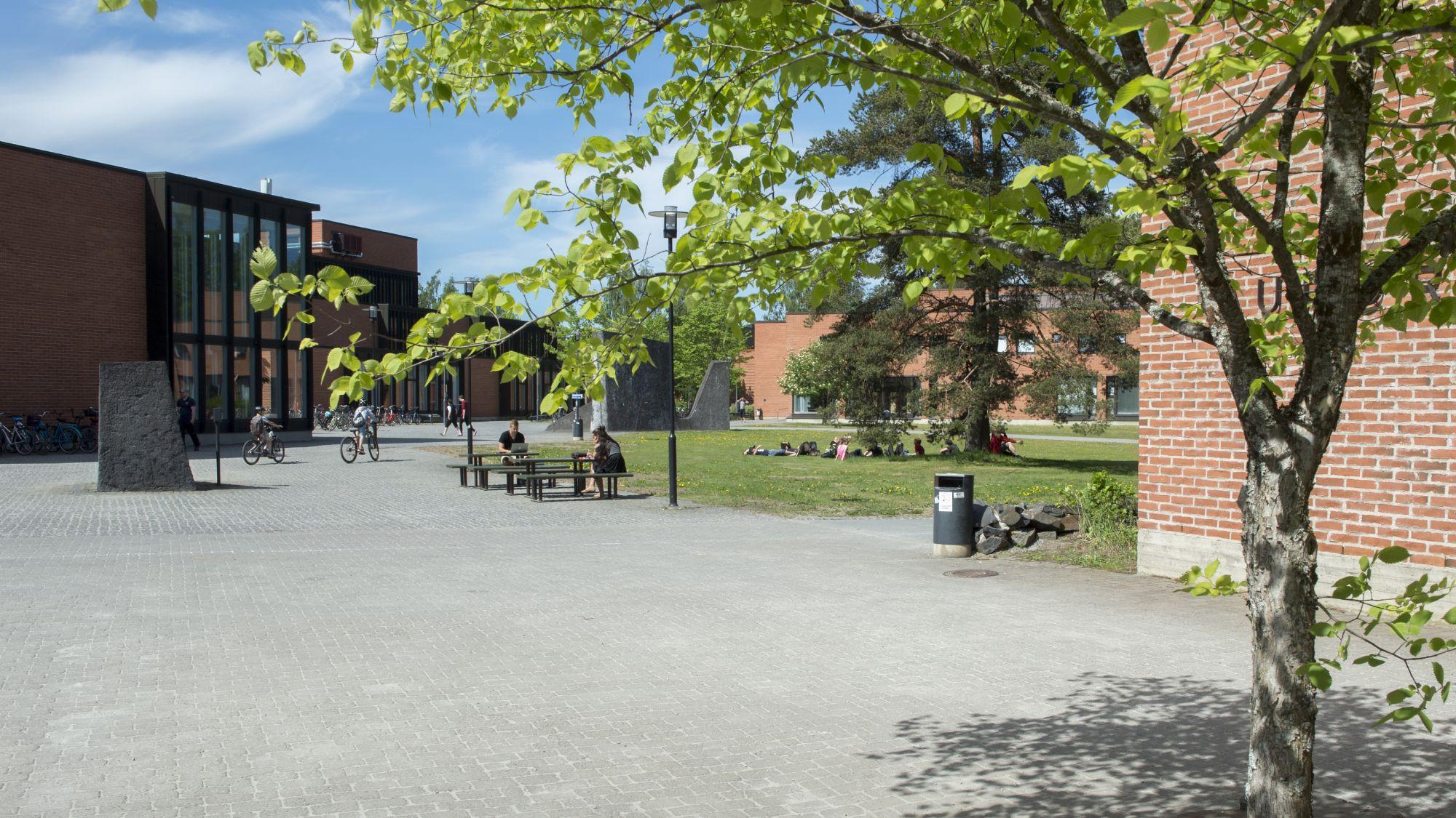 Finnish universities make sustainable impact