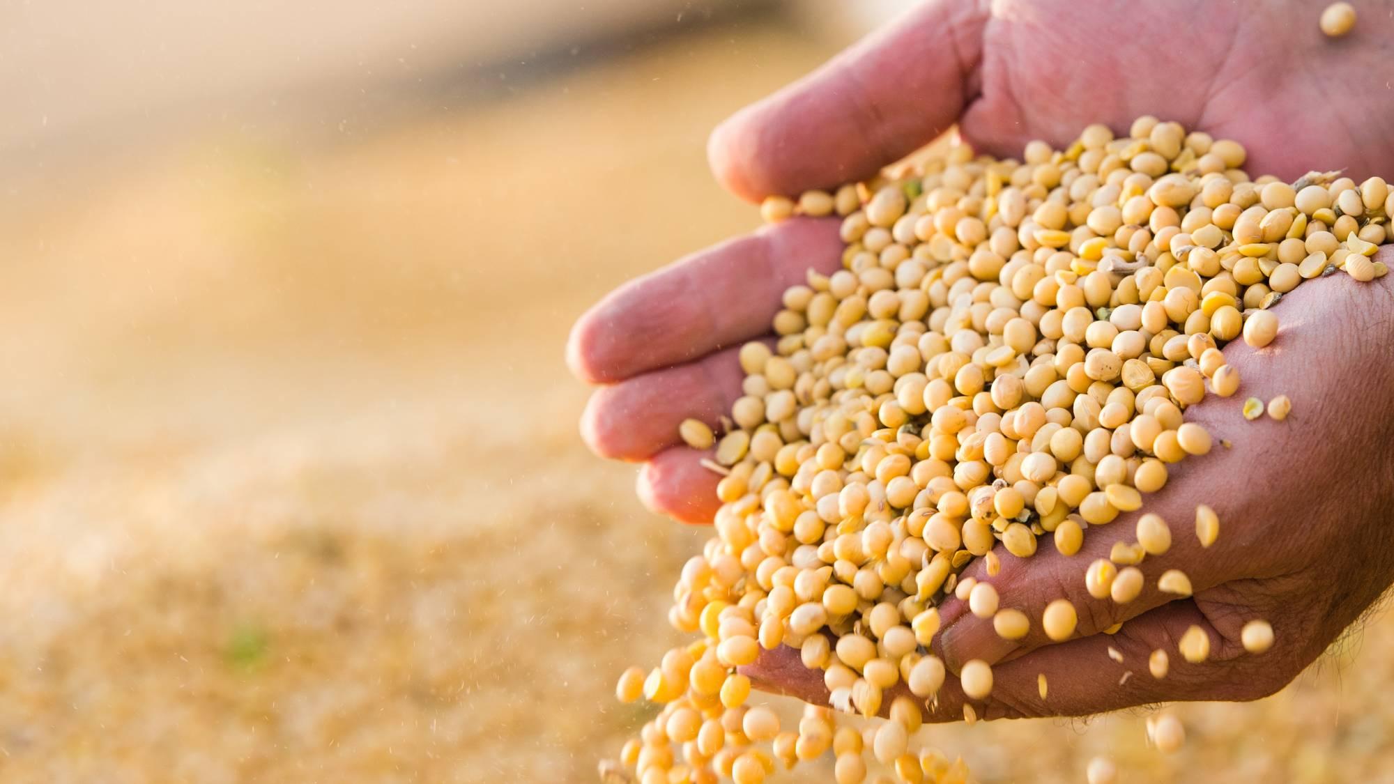 World first: Finnish companies produce plastic from soya residues