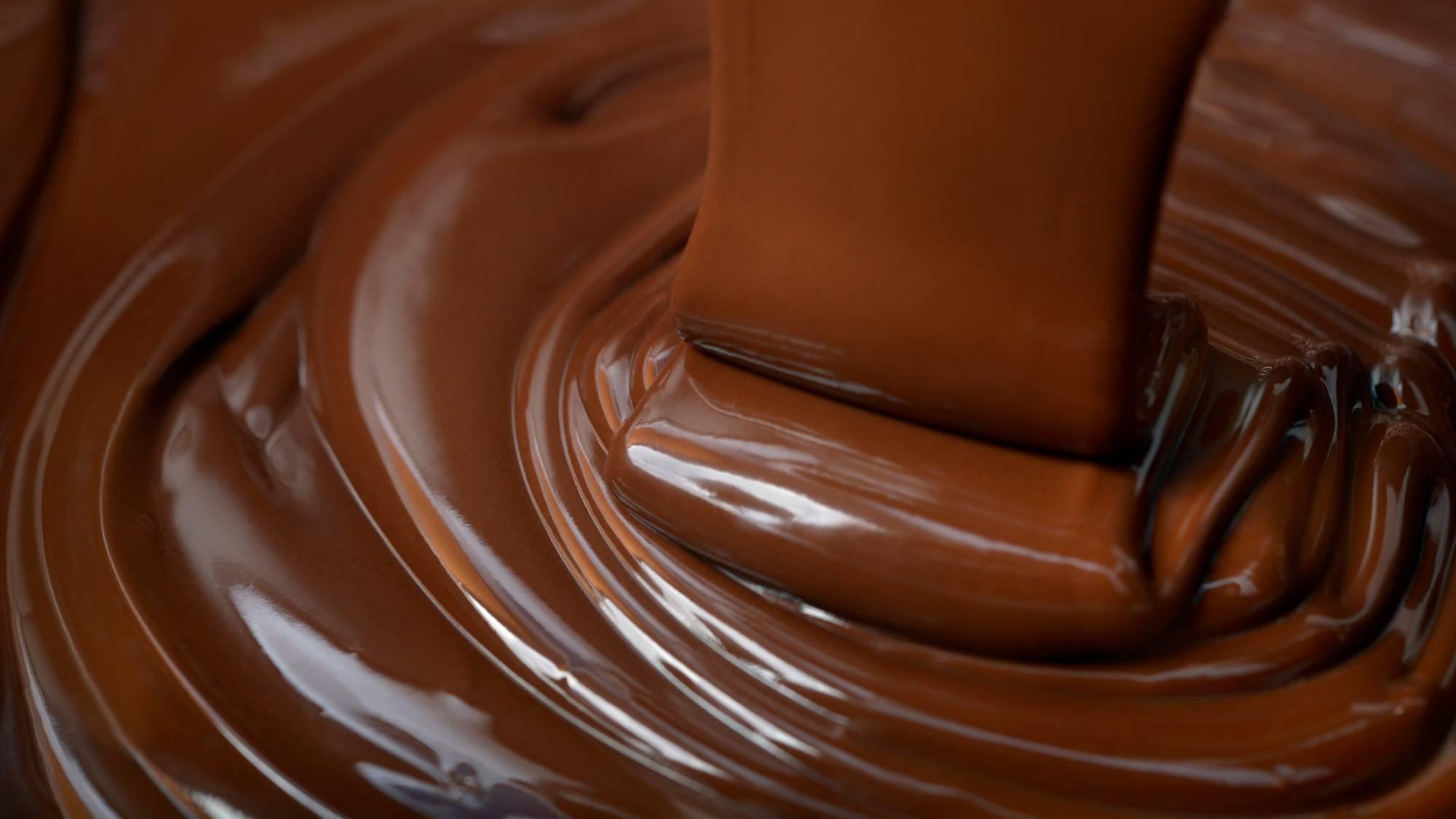 Finnish research has a sweet tooth for cell-cultured cocoa